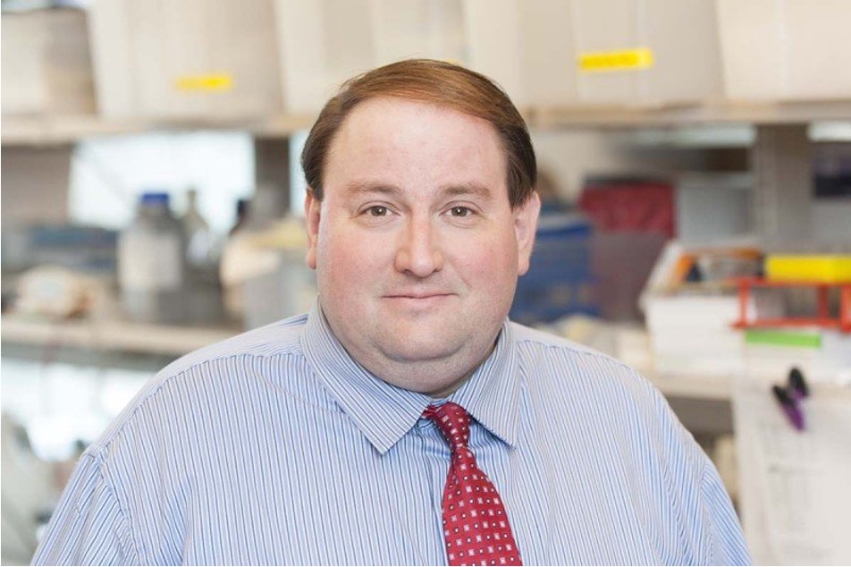 Society for Hematopathology