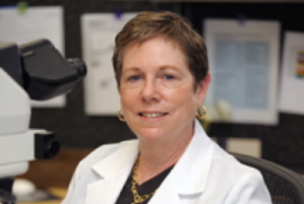 Society for Hematopathology